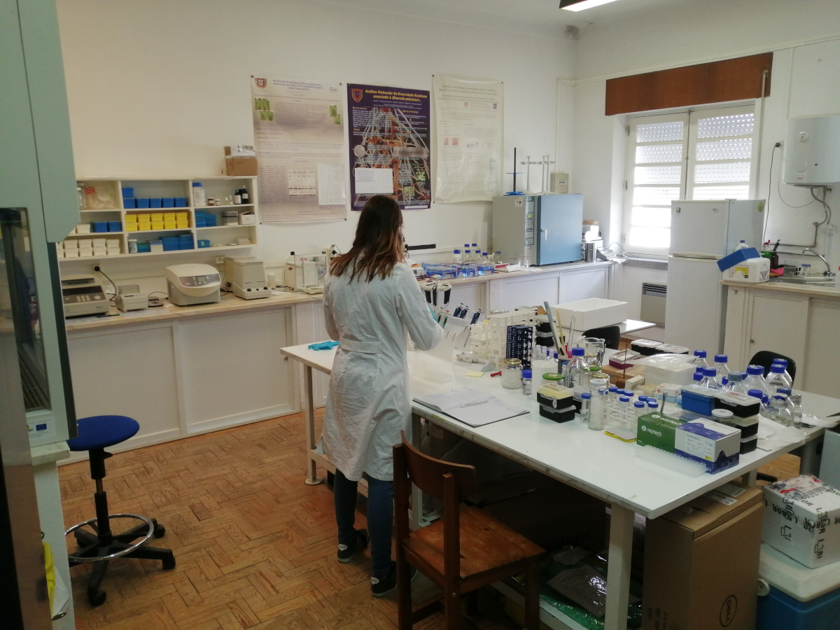 CoLAB de Elvas celebrou terceiro aniversário - InnovPlantProtect