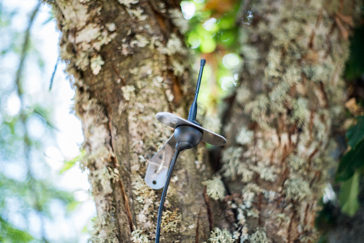 O sistema IoT (Internet of Things) por detrás dos sensores TreeTalker ...